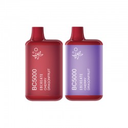 Fruit Flavor Disposable Vape Near Me | Vapesourcing