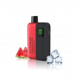 Cheap and Authentic LUFFBAR Disposable Vapes for Sale at Vapesouring ...