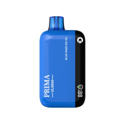 Best Blue Razz Ice Disposable Vape | Vapesourcing