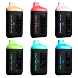 20000 Puffs Rechargeable Disposable Vapes Flavored Kit | Vapesourcing