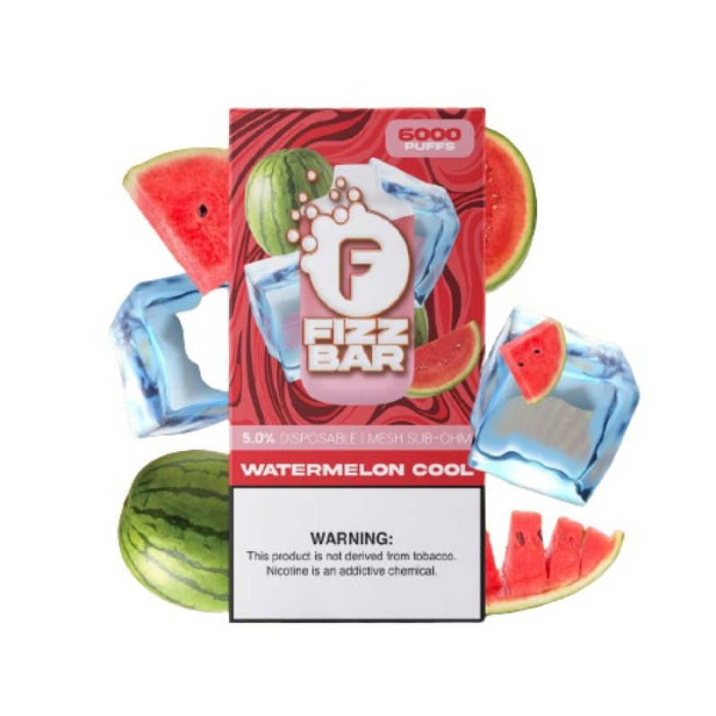 FIZZ Bar Disposable Vape Kit 6000 Puffs 14ml | Vapesourcing