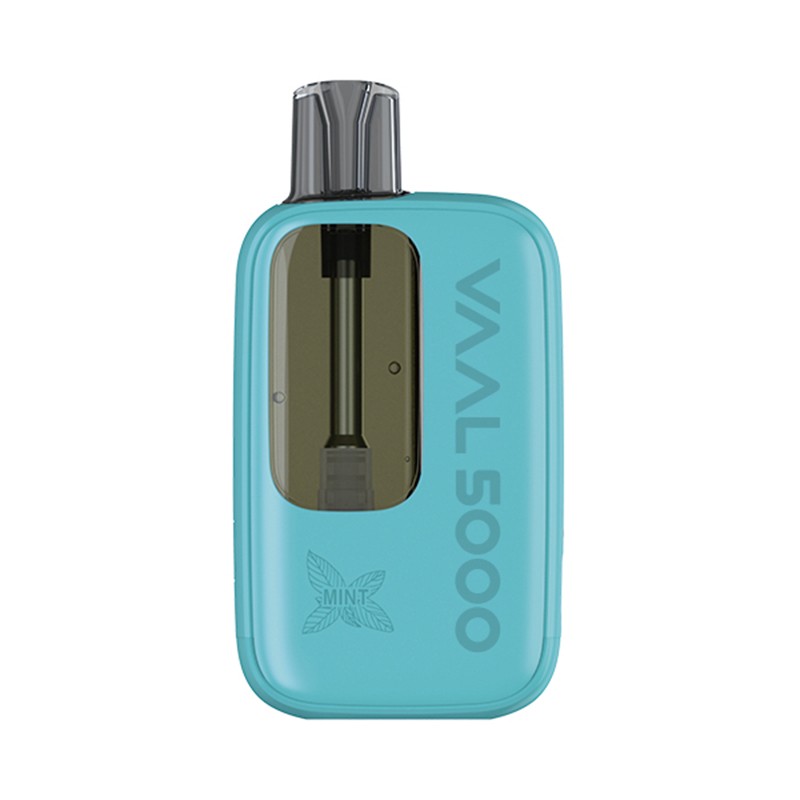 Vaal 5000 Disposable Kit Rechargeable 5000 Puffs 570mAh | Vapesourcing