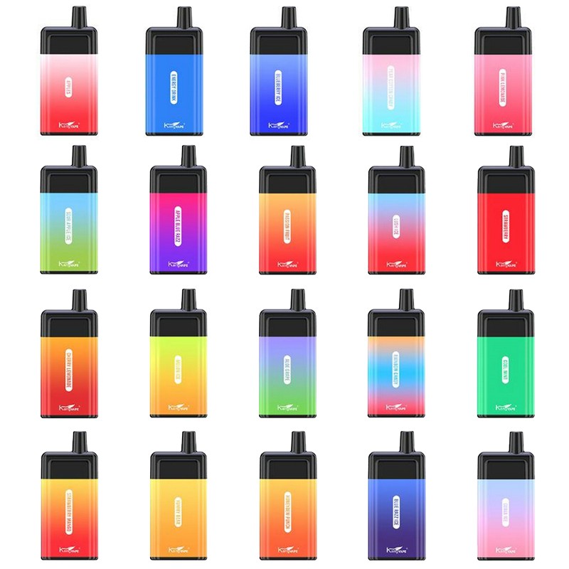 Kangvape Onee Stick 5000 Puffs Disposable Kit Vape Device 18.5ml ...