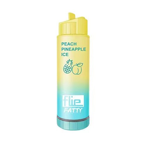 Flie Fatty Rechargeable Disposable Kit 8000 puffs 16ml | Vapesourcing