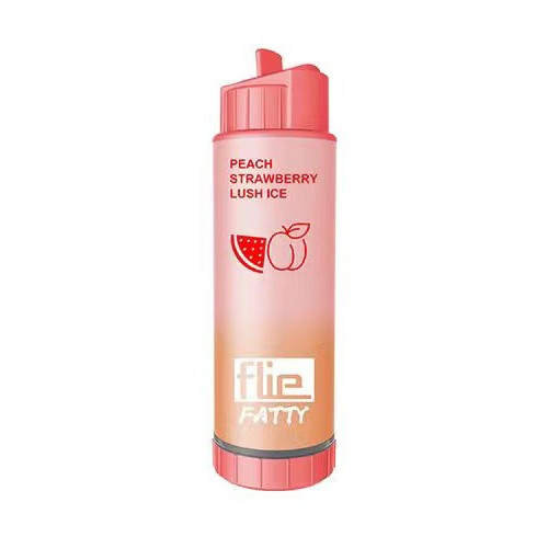 Flie Fatty Rechargeable Disposable Kit 8000 puffs 16ml | Vapesourcing