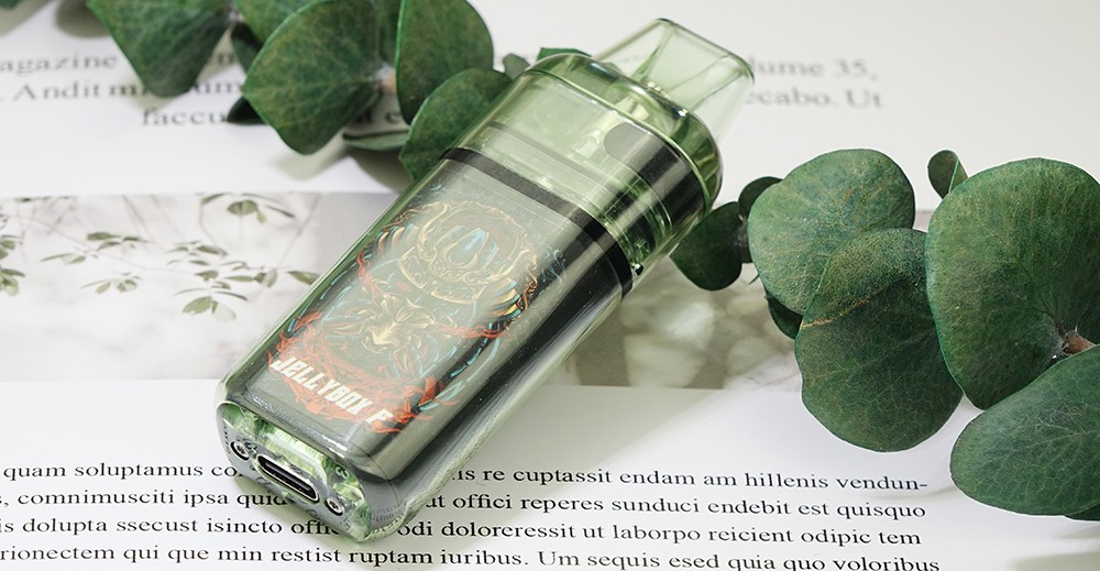 Rincoe Jellybox F Pod System Kit 650mAh Price $12.99 | Vapesourcing