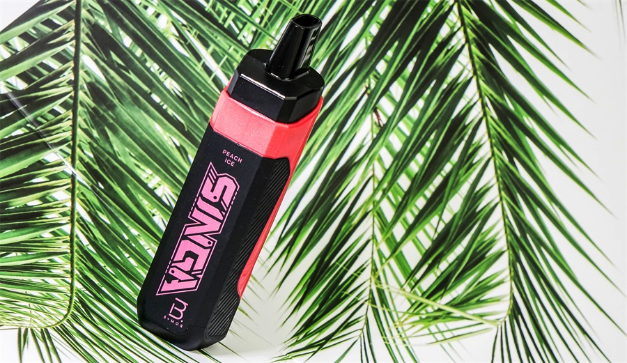 Bmor Singa Disposable Vape Kit 6000 Puffs 14ml | Vapesourcing