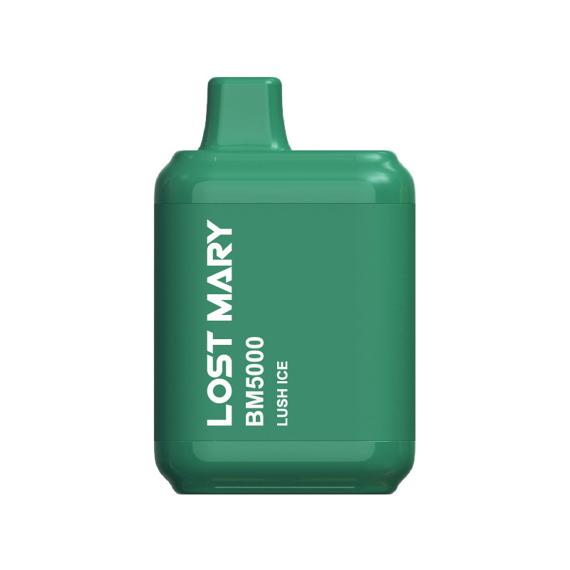 Lost Mary BM5000 Vape Rechargeable Disposable Kit 5000 Puffs 14ml ...