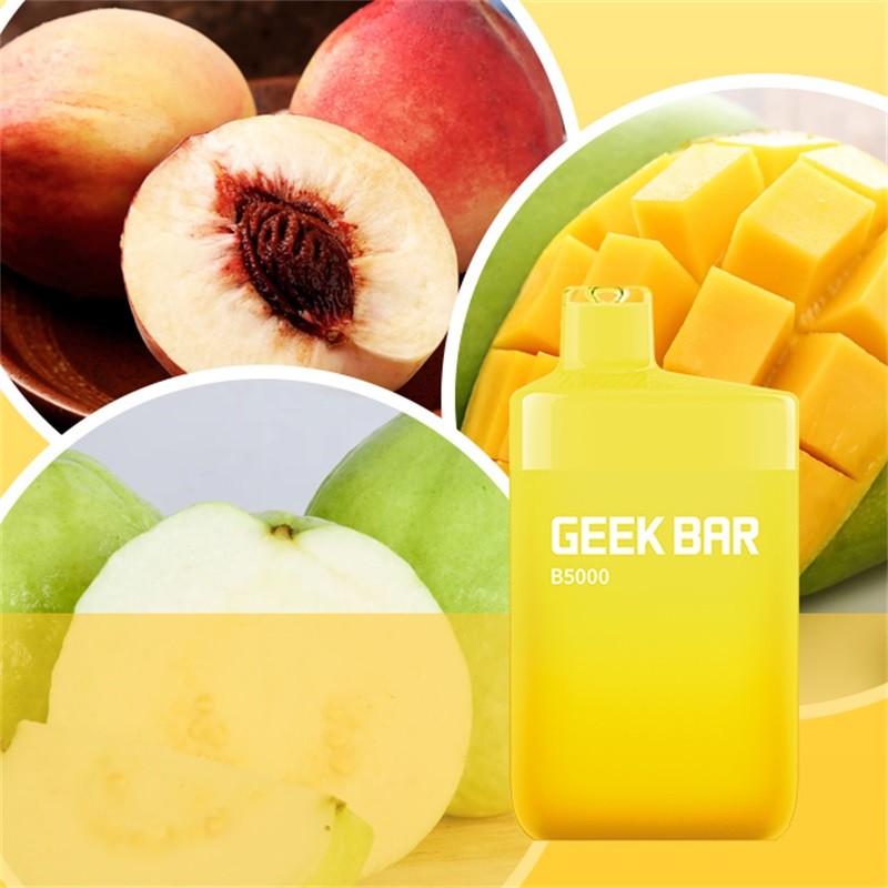Geek Bar B5000 5000 Puffs Disposable Vape Kit 14ml | Vapesourcing