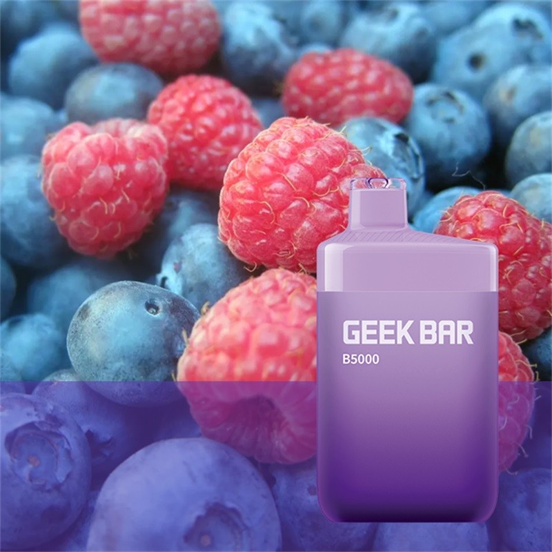 Geek Bar B5000 5000 Puffs Disposable Vape Kit 14ml | Vapesourcing