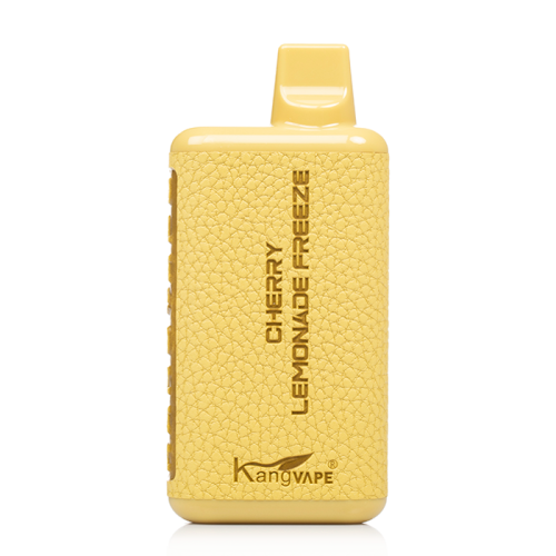 Kangvape Onee Pro Disposable Vape Kit 5000 Puffs 17ml | Vapesourcing