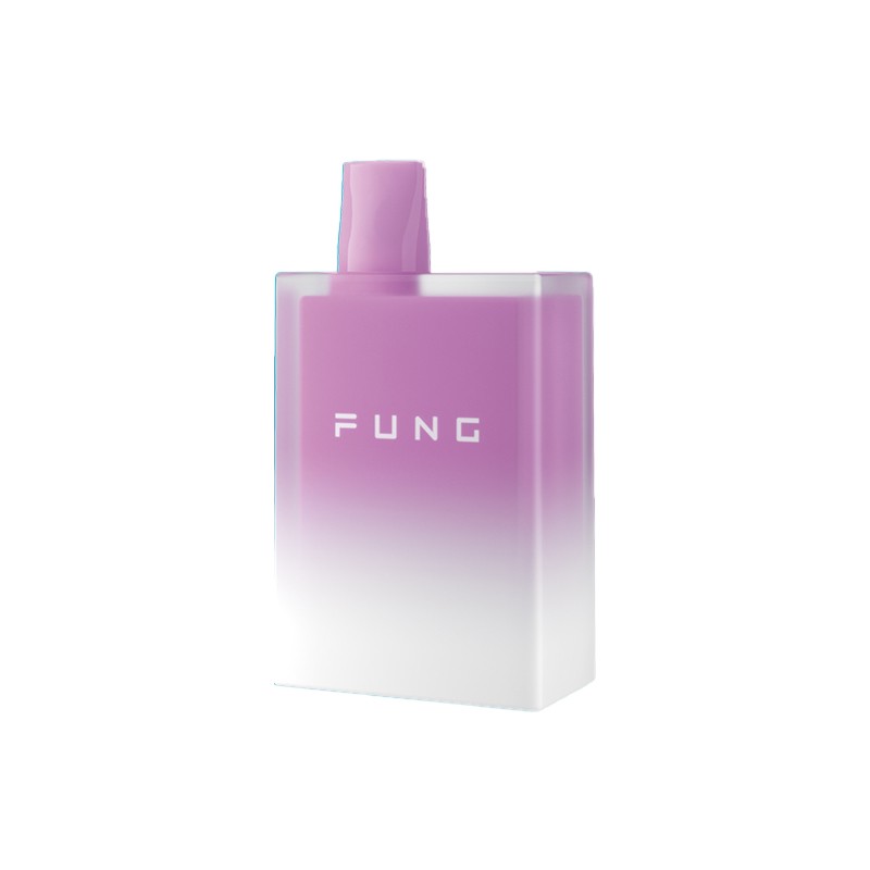 Fung ICE 6000 Puffs Disposable Vape Kit 12ml | Vapesourcing