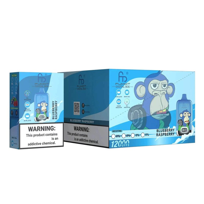 (10-PACK) RandM Digital Box 12000 Disposable Vape | Vapesourcing