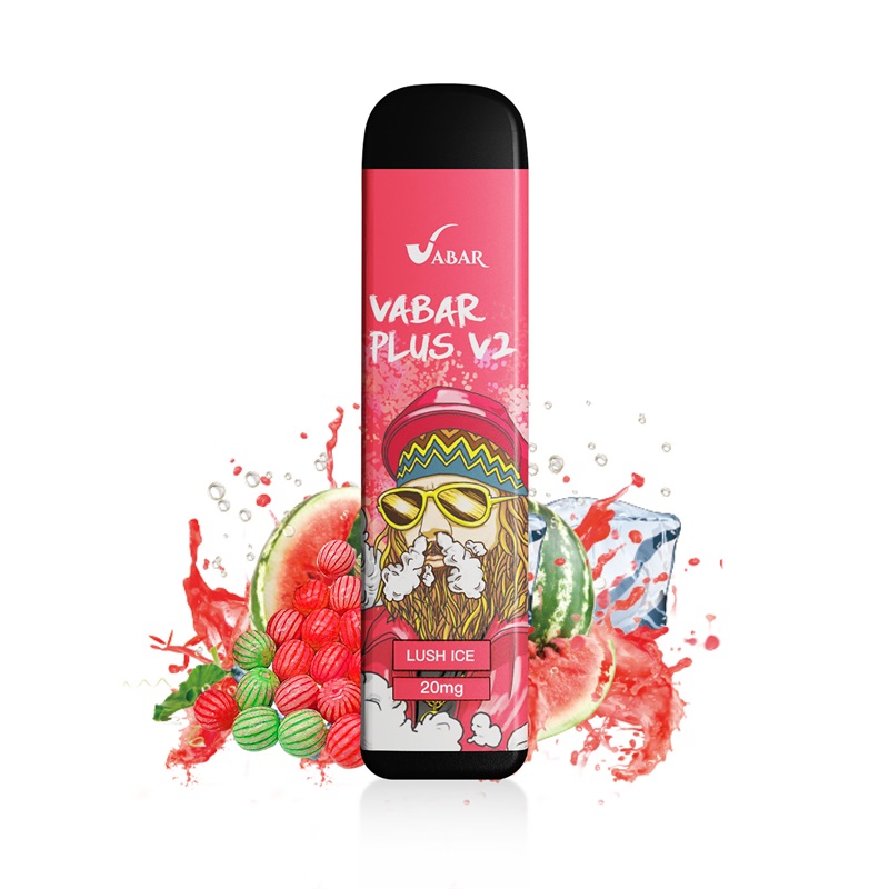 Vabar Plus V2 Disposable Vape Kit 1000 Puffs 500mAh | Vapesourcing