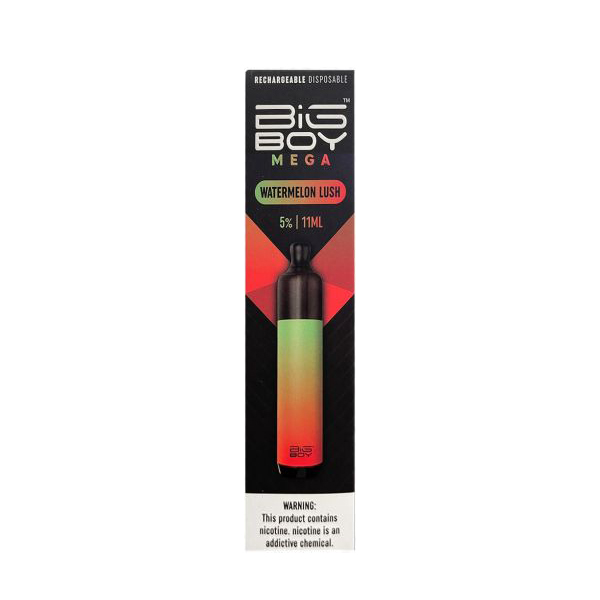Big Boy Mega Disposable 5000 Puffs Rechargeable Kit 11ml | Vapesourcing