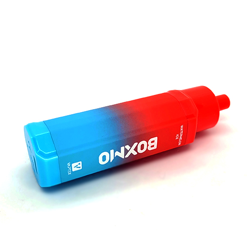 Vaptex Boxmo Rechargeable Disposable Vape Kit 5000 Puffs 13ml ...
